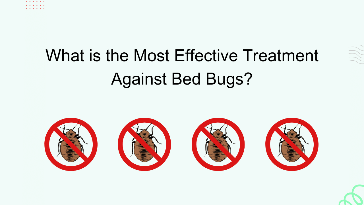 What is the Most Effective Treatment Against Bed Bugs?